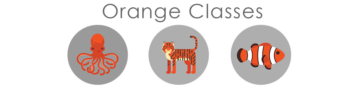 Springwell School - Class Pages